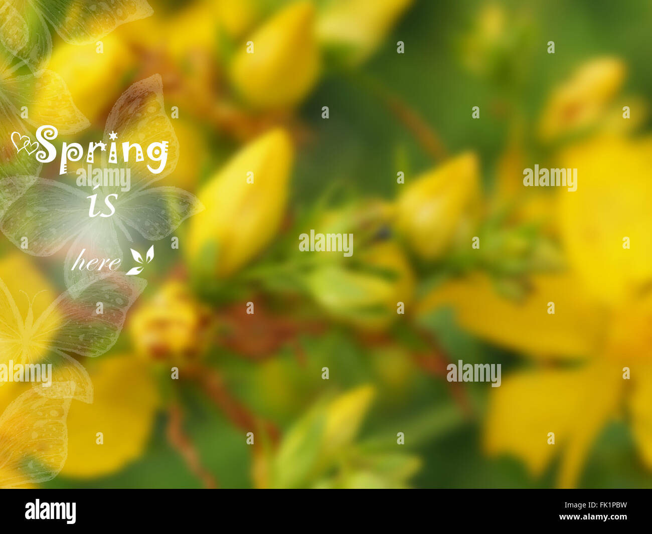 White velvet spring hi-res stock photography and images - Alamy