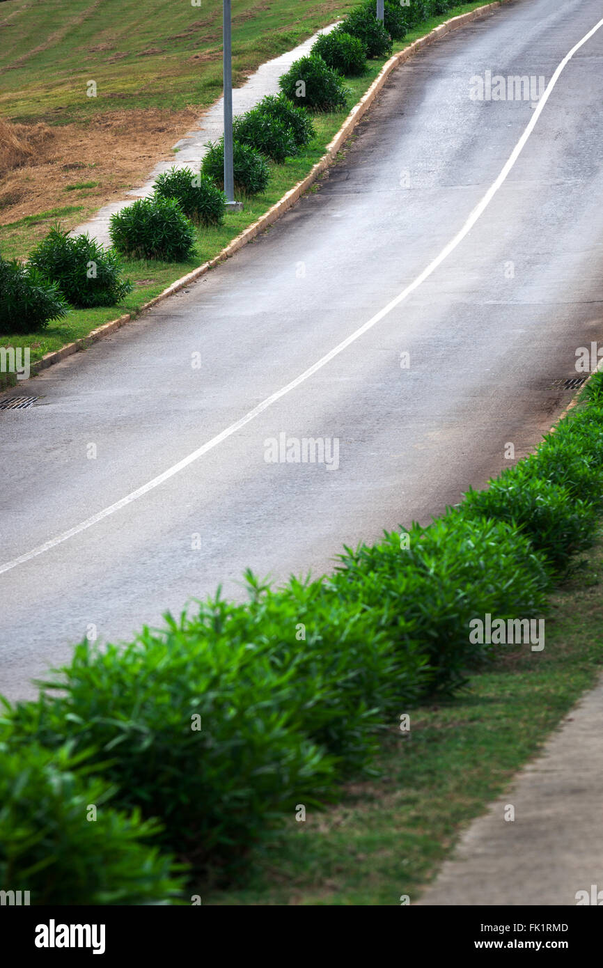 asphalt road and green bushes Stock Photo - Alamy