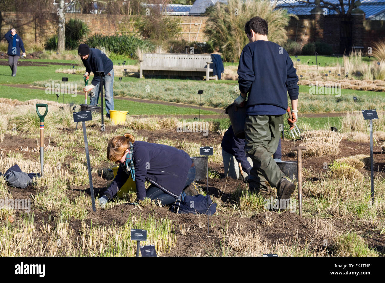 Foundation plantings hi-res stock photography and images - Alamy