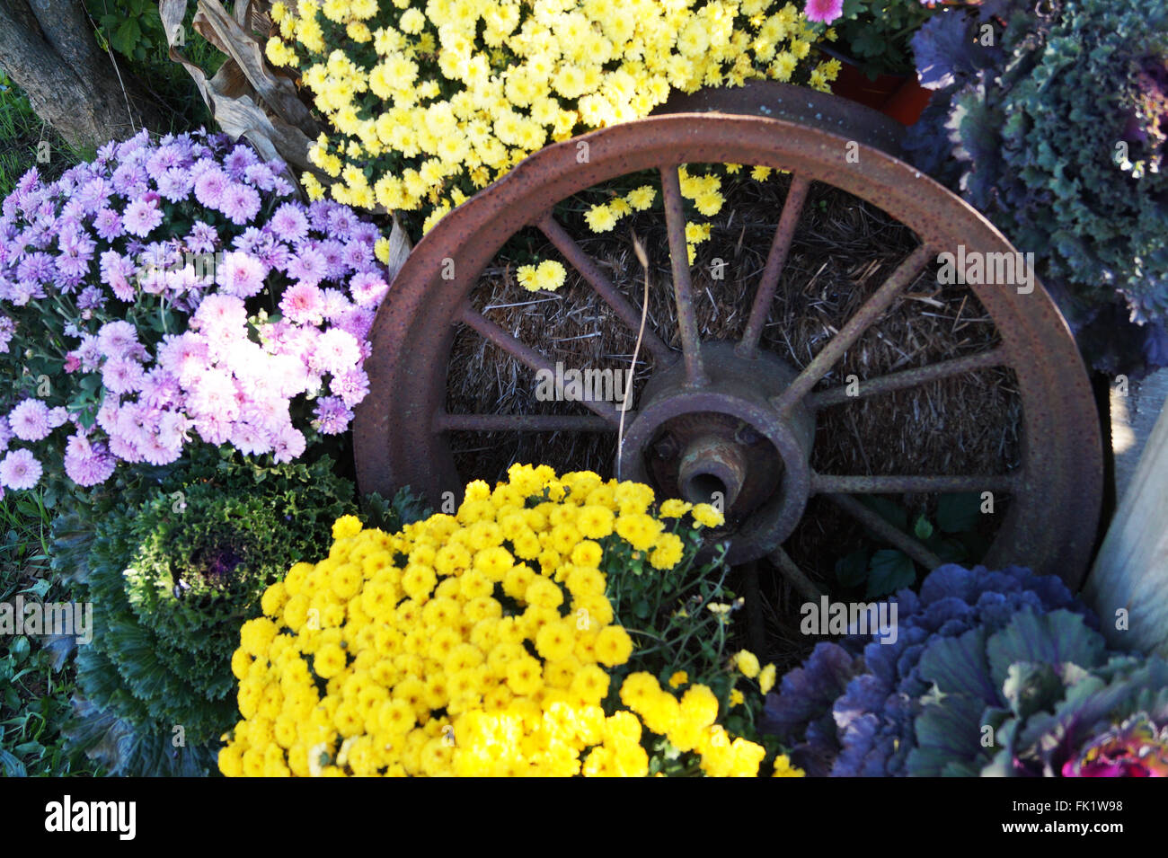 A wheel surrounded by flowers Stock Photo - Alamy