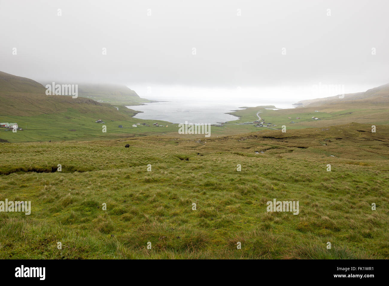 Typical landscape on the Faroe Islands, with green grass and rocks with ...