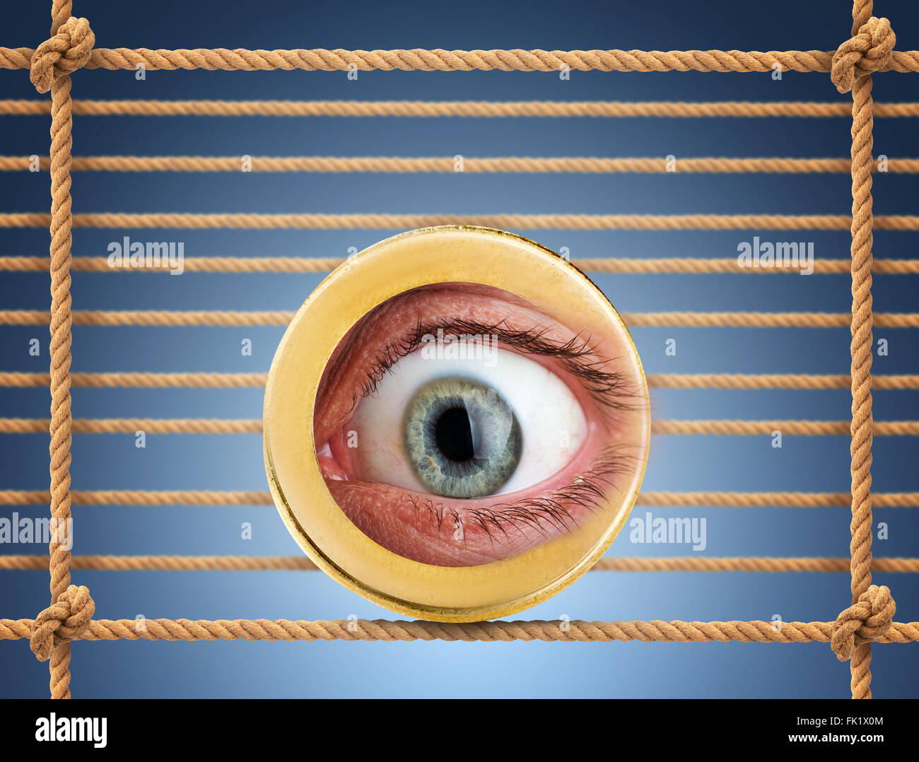 Human eye in the coin Stock Photo - Alamy