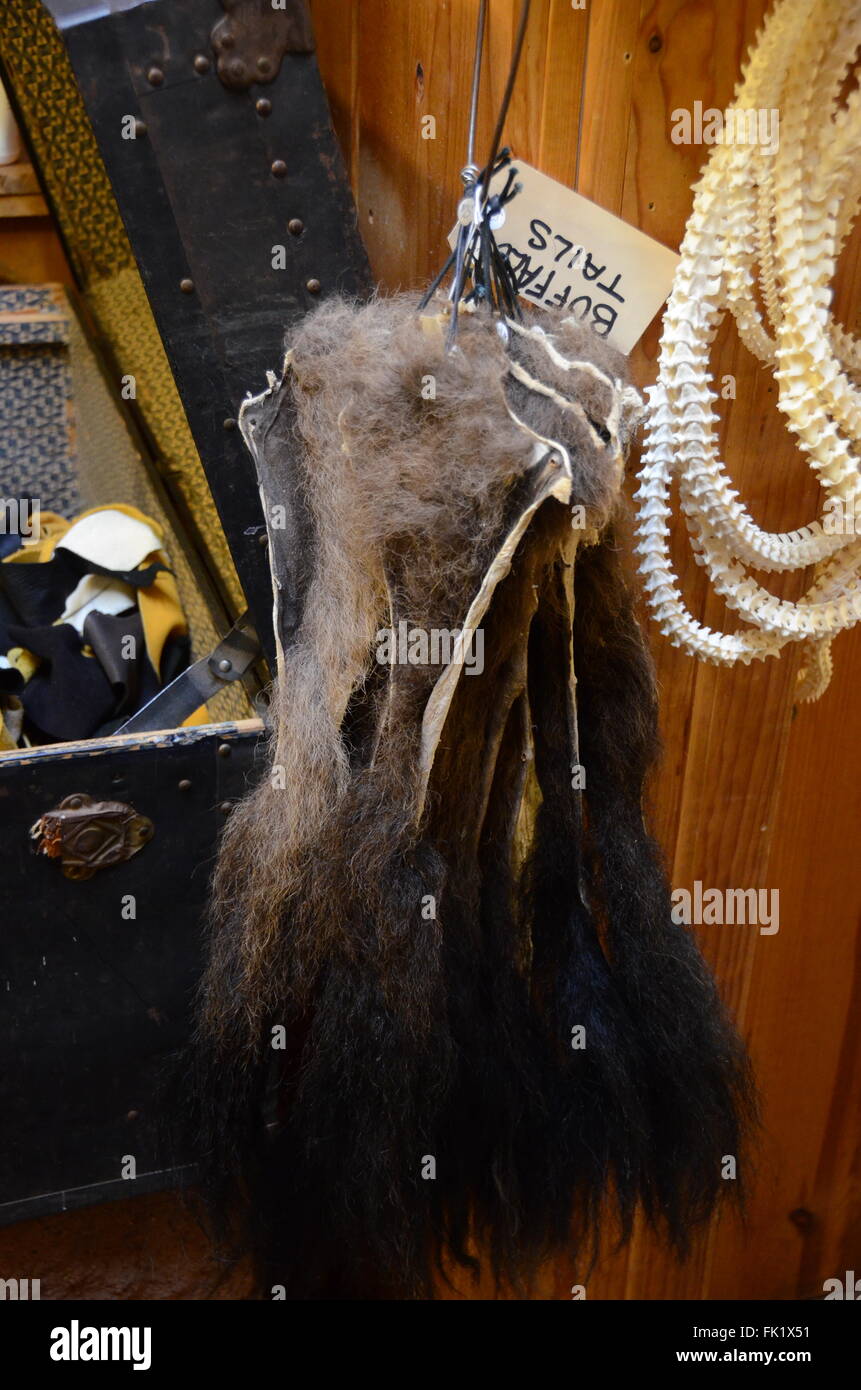 buffalo bison tails clear creek trading company sedona arizona Stock ...