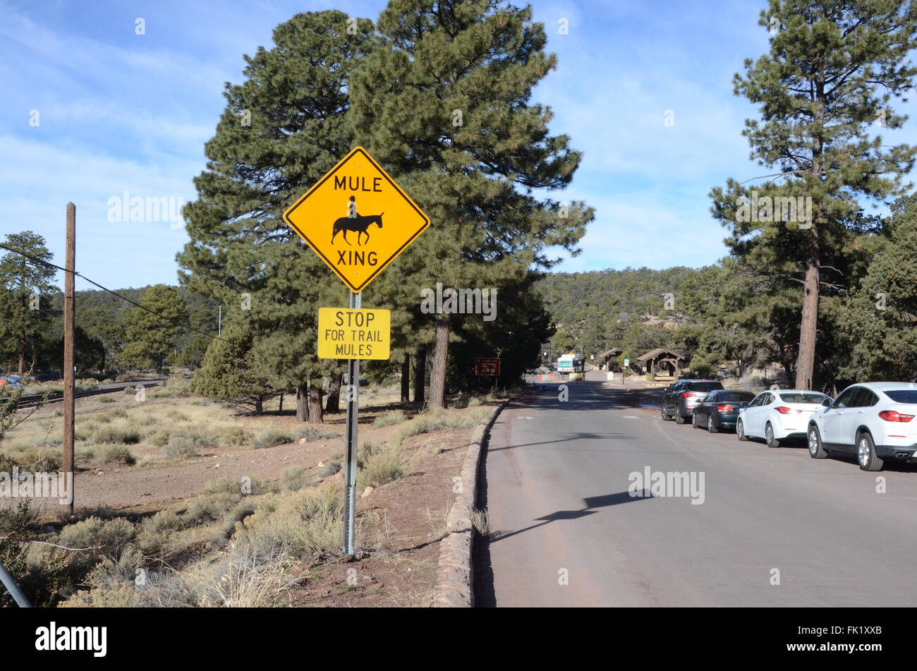 Mule crossing sign grand canyon village hi-res stock photography and ...