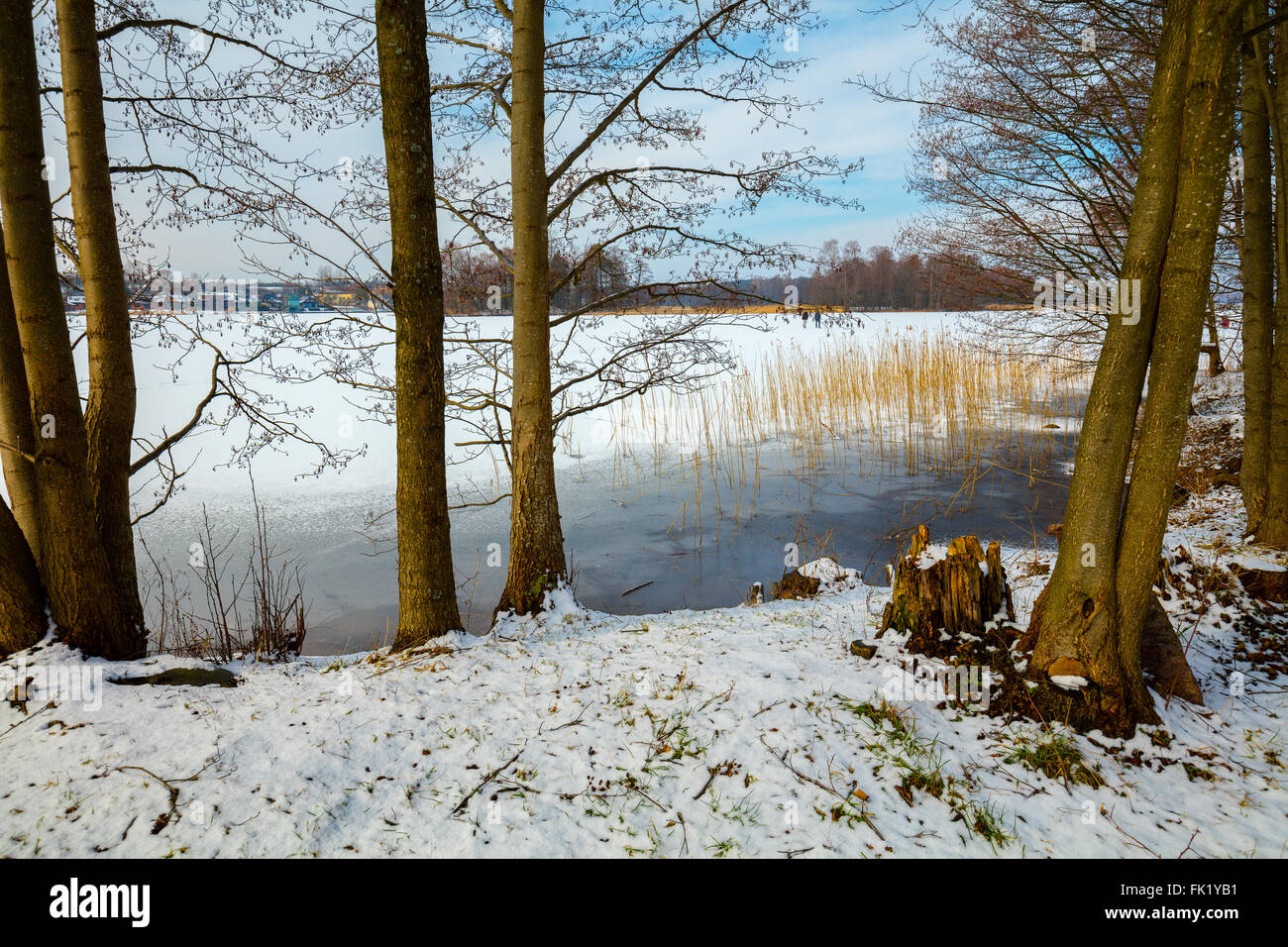 Frozen lake in winter Stock Photo - Alamy