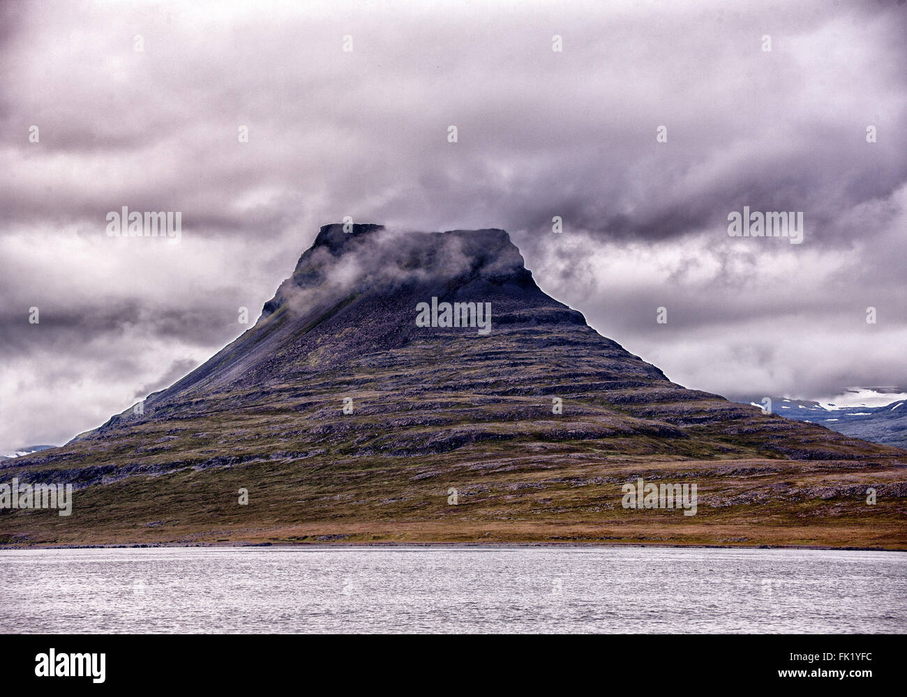 Vigur Island, Northwest Iceland, Iceland. 2nd Aug, 2015. The ...