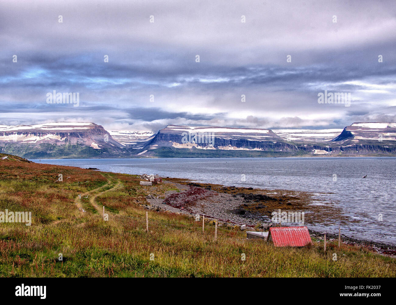 Vigur Island, Northwest Iceland, Iceland. 2nd Aug, 2015. The ...