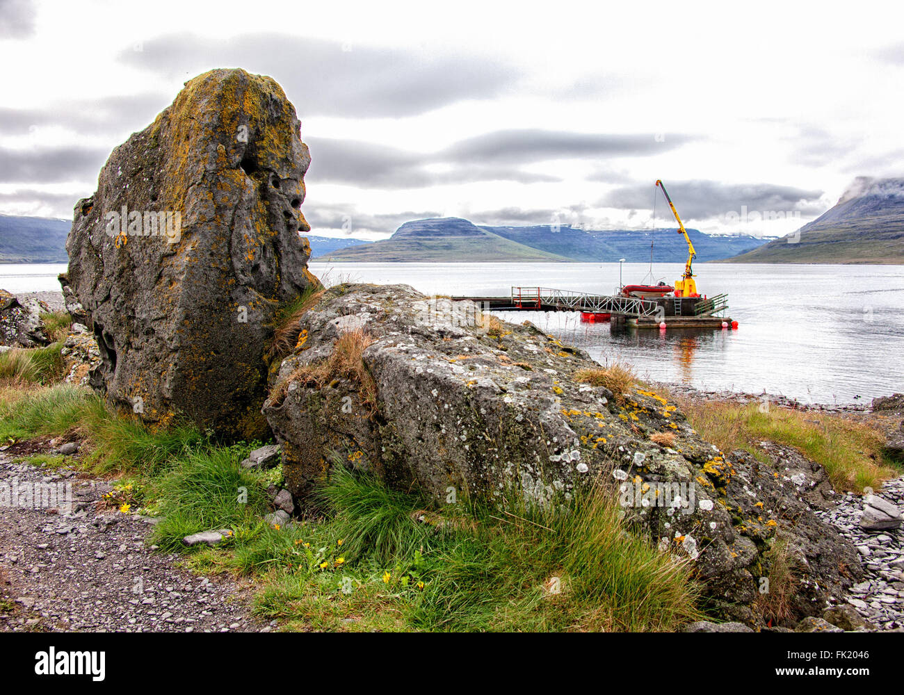 Vigur bird island hi-res stock photography and images - Alamy