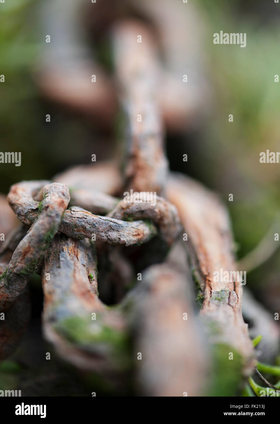 Rot and decay hi-res stock photography and images - Alamy