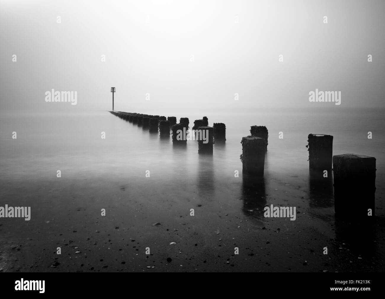 Timber groin Black and White Stock Photos & Images - Alamy
