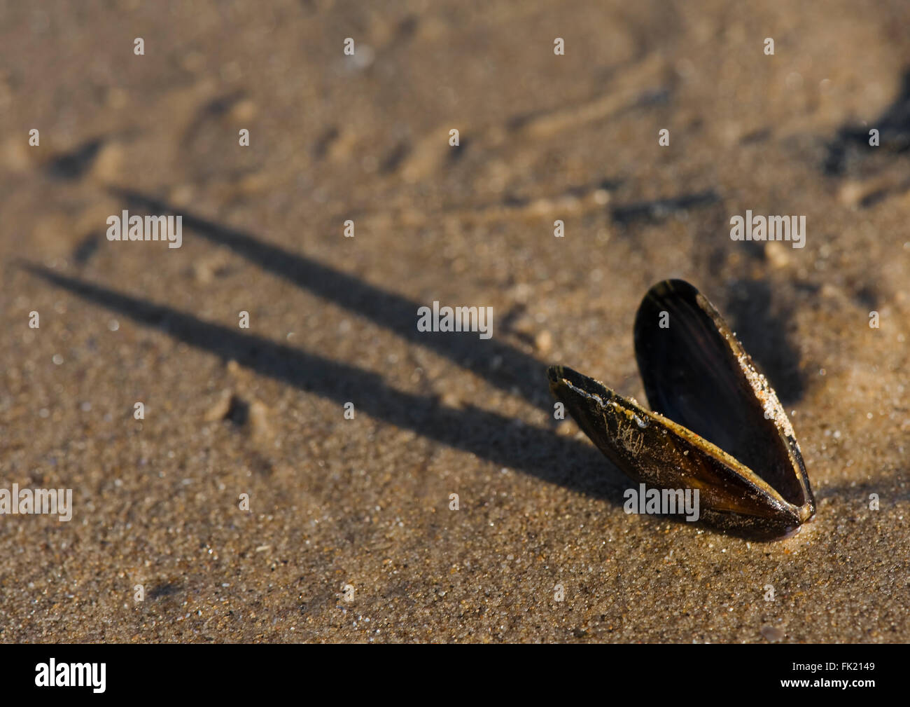 South Gare, Redcar harbour Stock Photo - Alamy