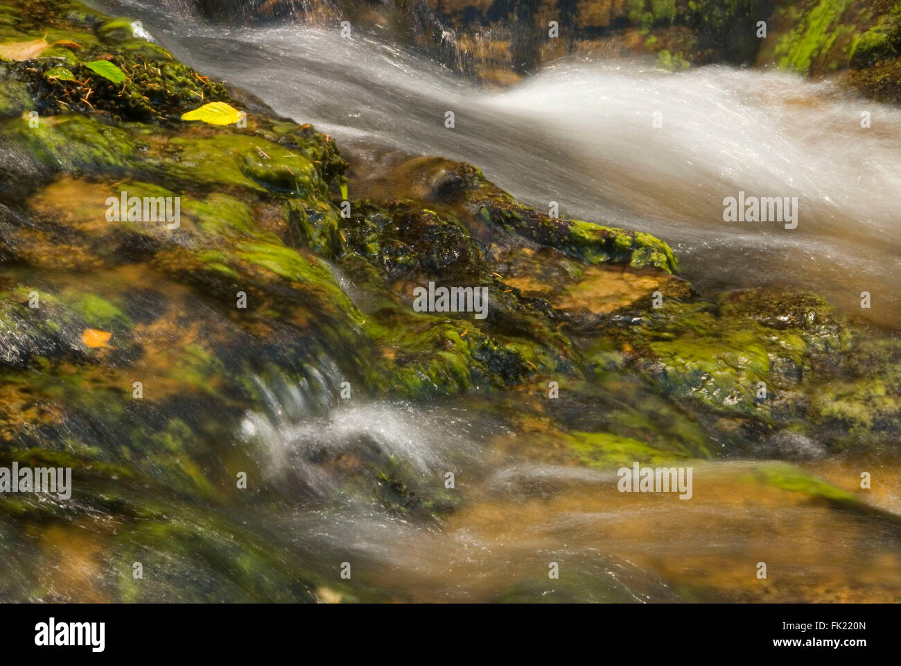 Quartzville Creek, Quartzville Creek Wild and Scenic River, Quartzville ...