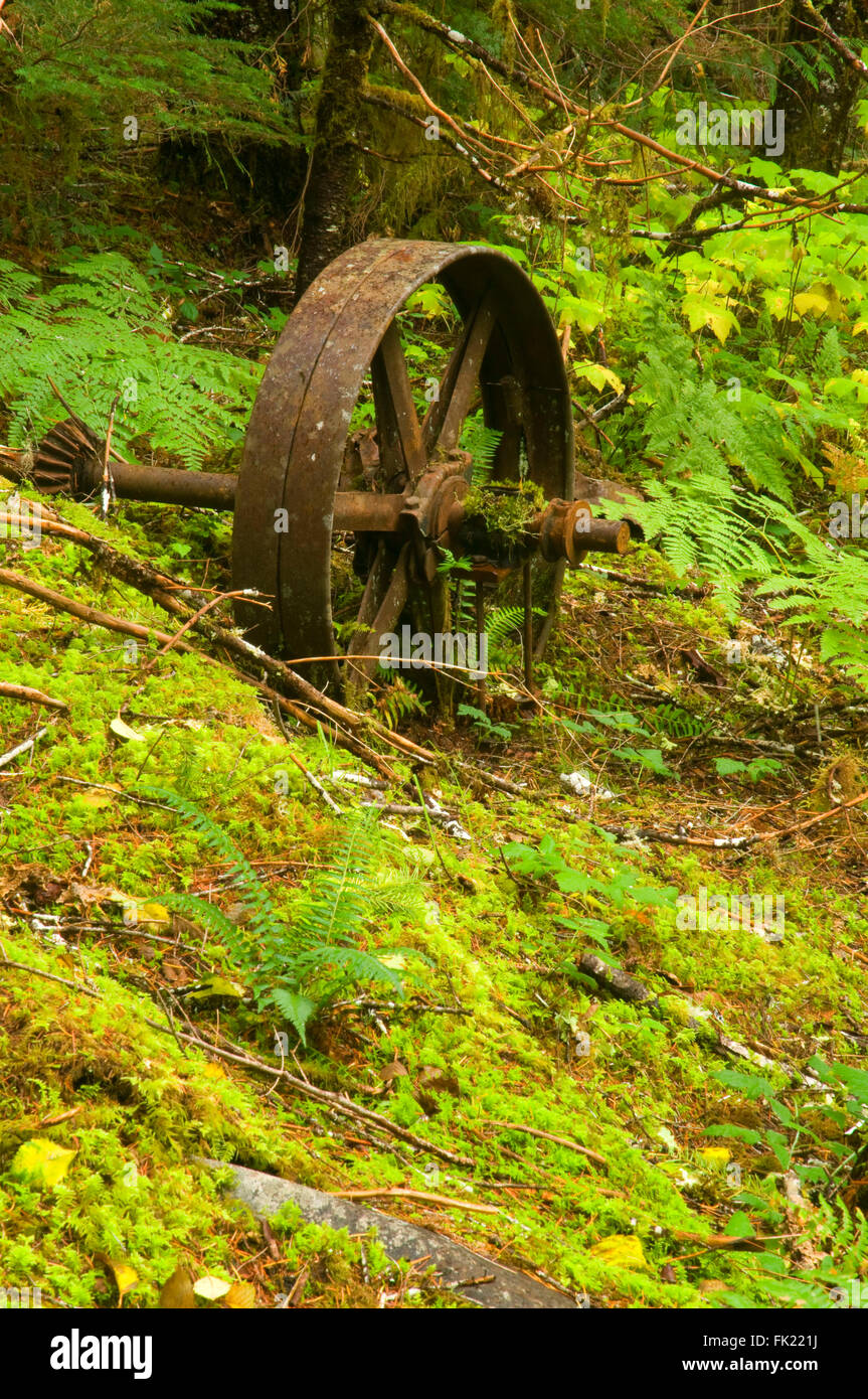 Oregon trail artifacts hi-res stock photography and images - Alamy