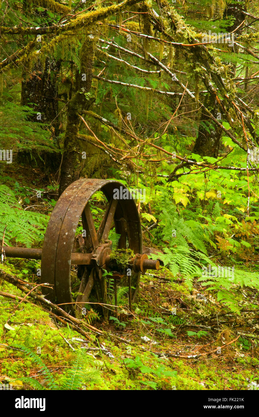 Merten Mill artifacts, Opal Creek Scenic Recreation Area, Willamette ...