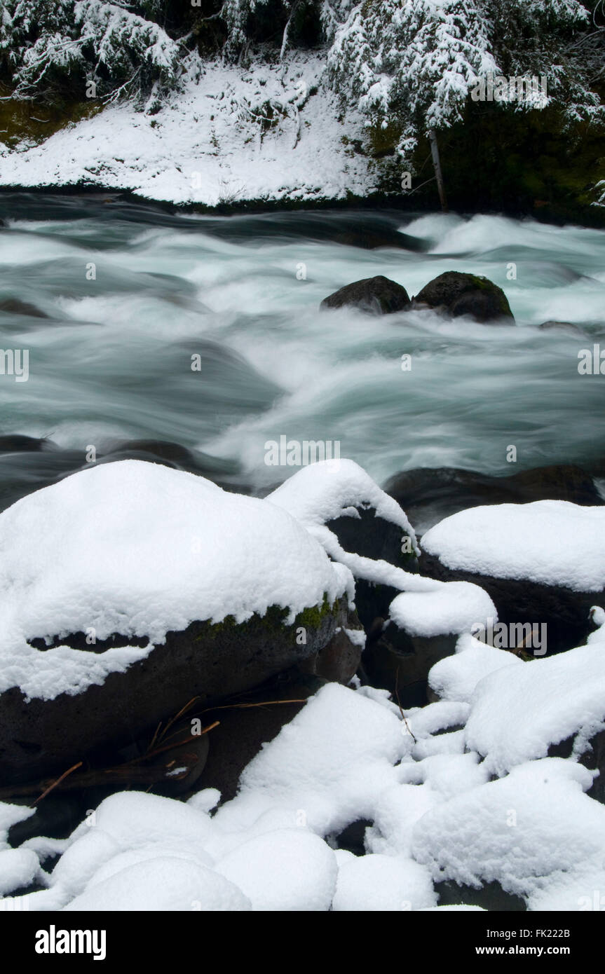 North Santiam River at Whispering Falls Campground, Willamette National ...