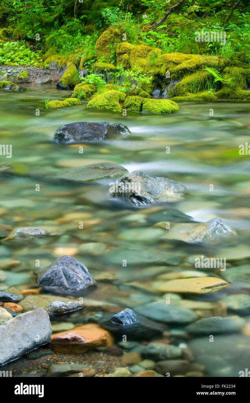 Quartzville Creek Wild and Scenic River, Quartzville Creek National ...