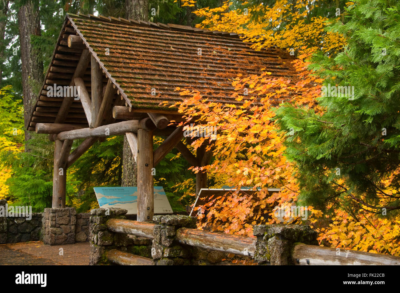 Mckenzie river trail hi-res stock photography and images - Alamy
