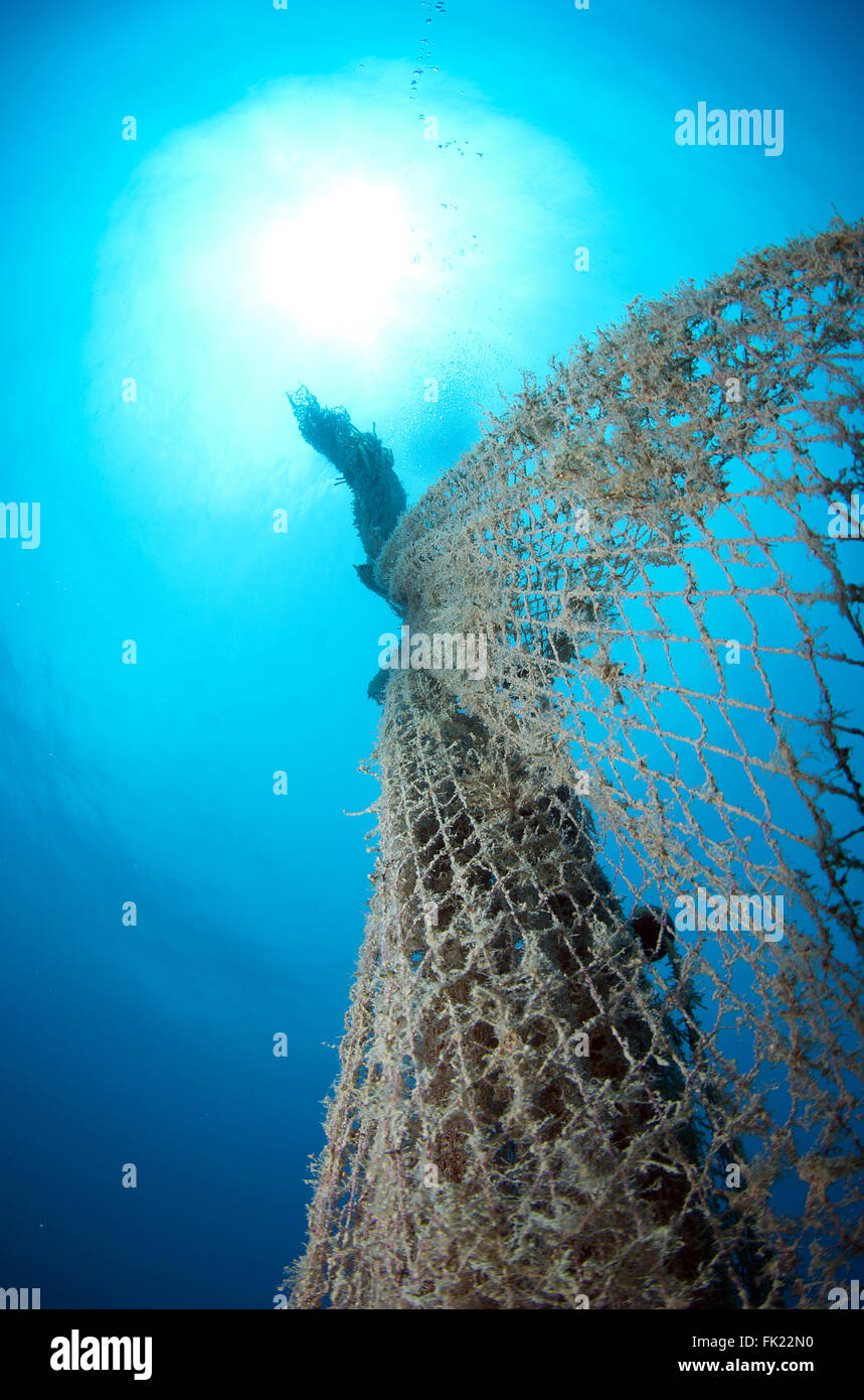 old abandoned fishing net with squid eggs Stock Photo - Alamy