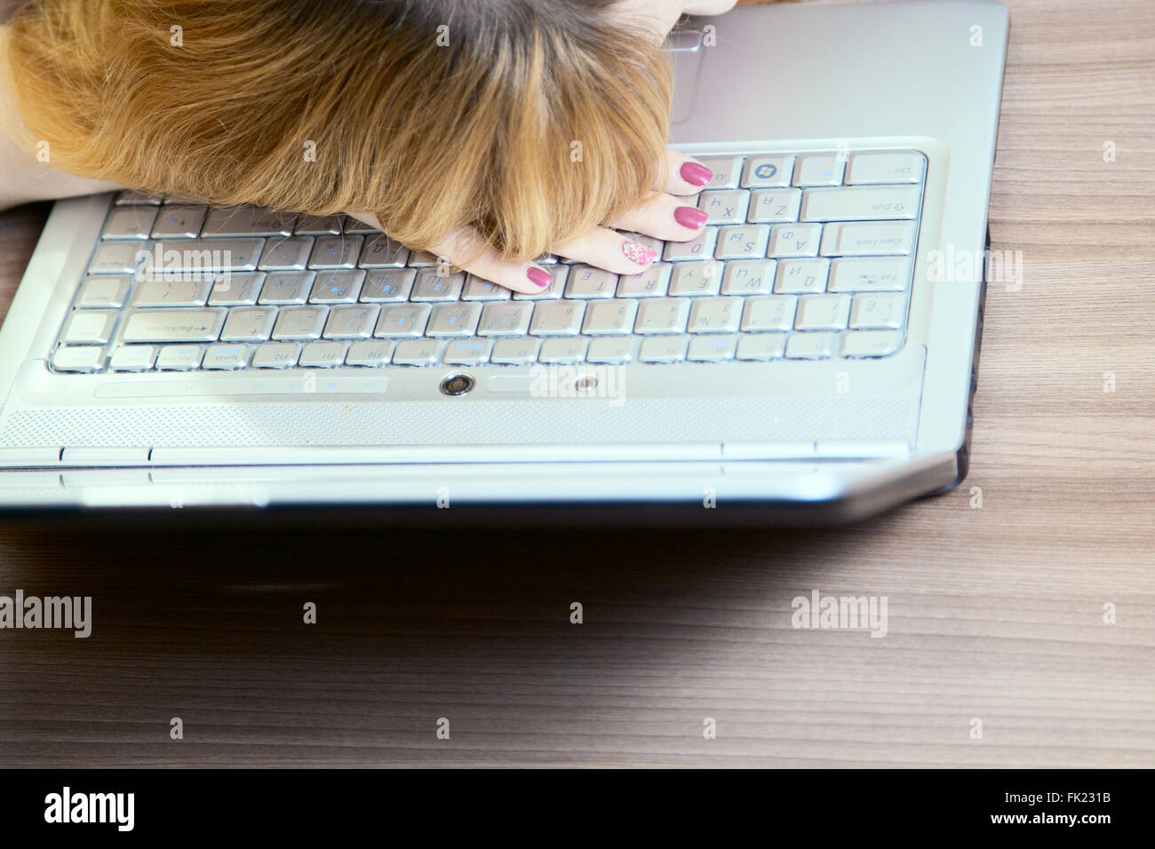 girl sleep on your keyboard Stock Photo - Alamy