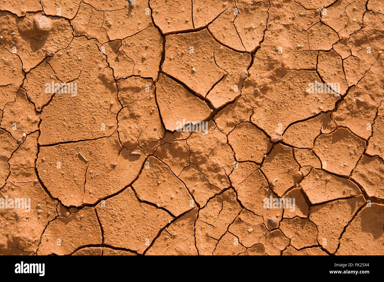Cracked earth from the intense summer heat in the outback Stock Photo ...