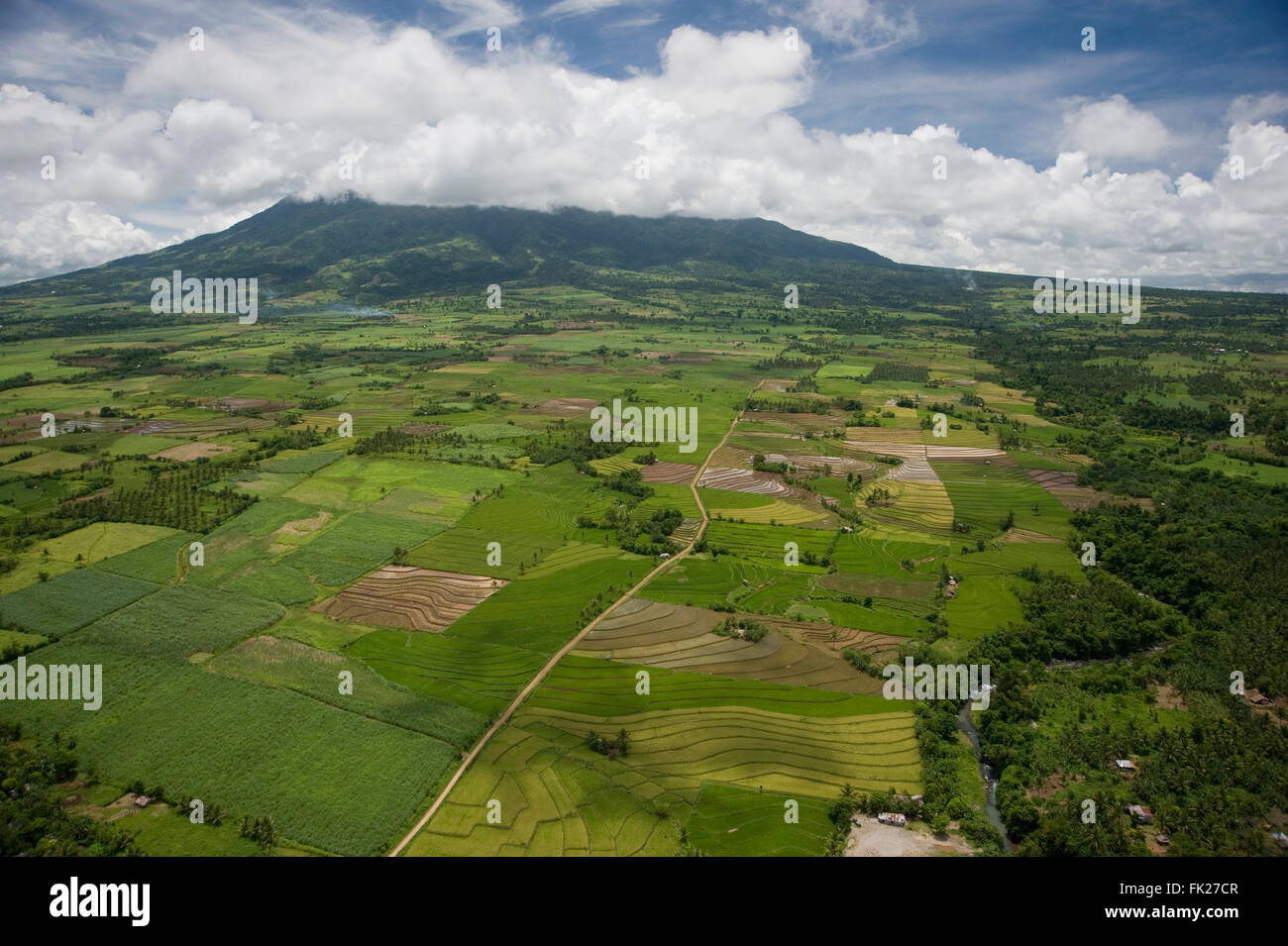 Ocampo. Aerial of Camarines Sur rice paddies near Mt. Isarog Stock ...