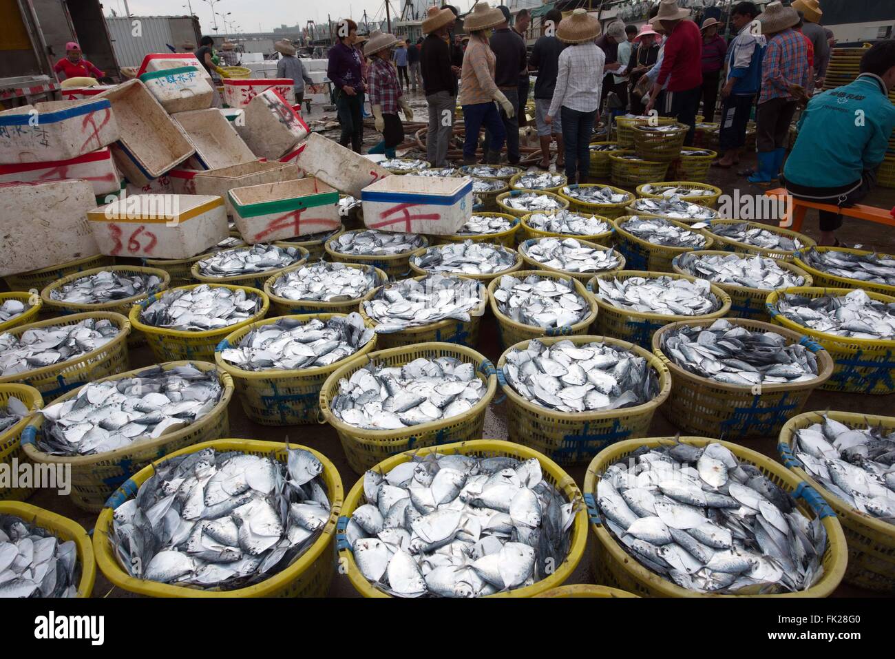 Qionghai, China's Hainan Province. 6th Mar, 2016. Fishermen sell fishes ...