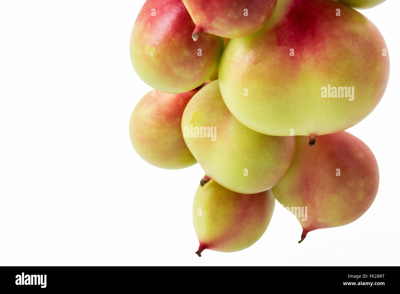 Young stage of 'Luna Nut' fruit isolated on white background and ...