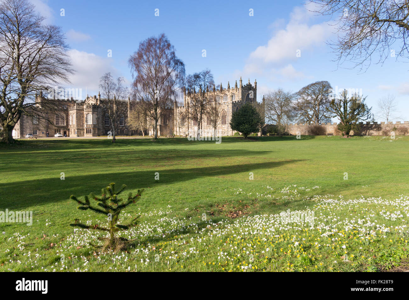 Bishops palace bishop auckland hi-res stock photography and images - Alamy