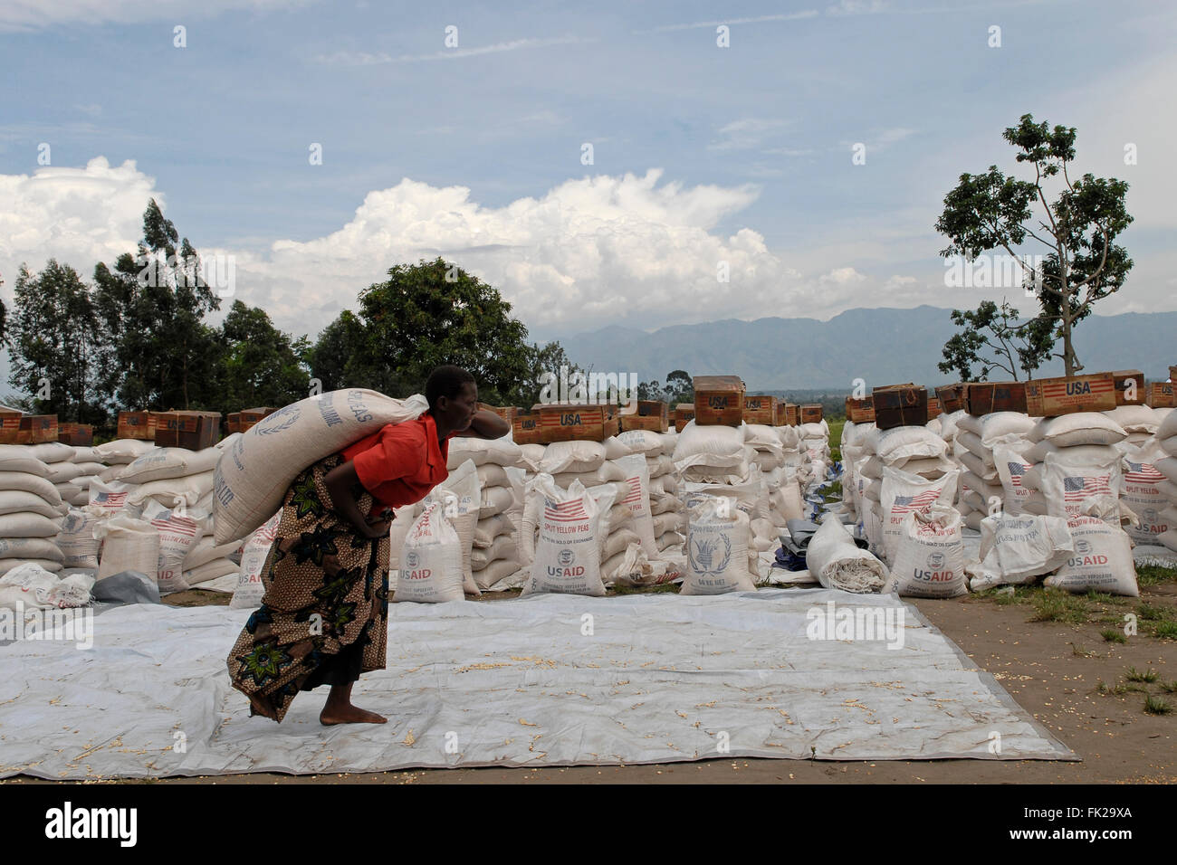 Woman carries large sack of maize donated by USAID at World Food ...
