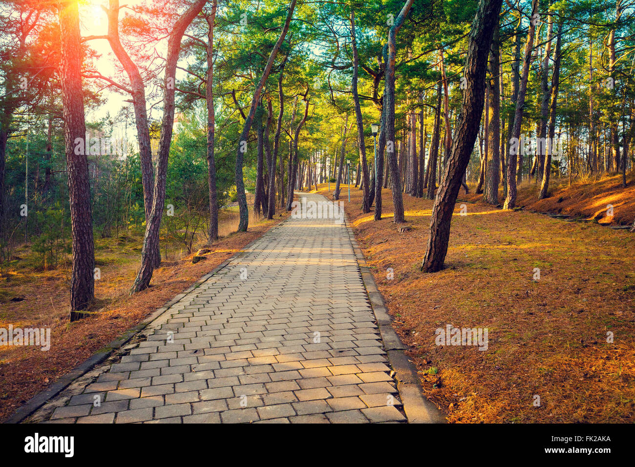 Serene autumn pathway hi-res stock photography and images - Alamy