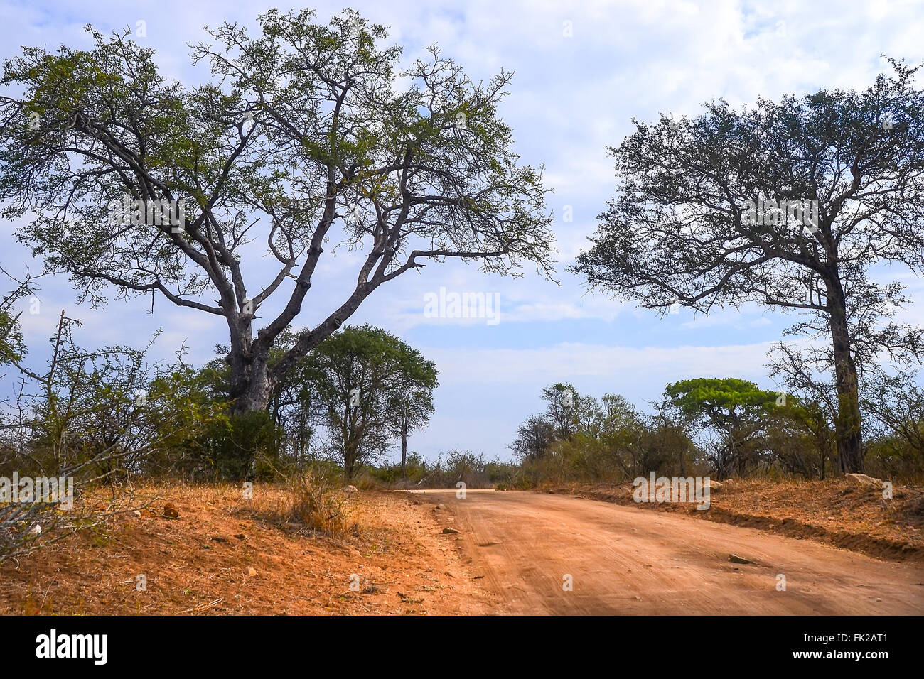 African Landscape in Kruger National Park, South Africa Stock Photo - Alamy