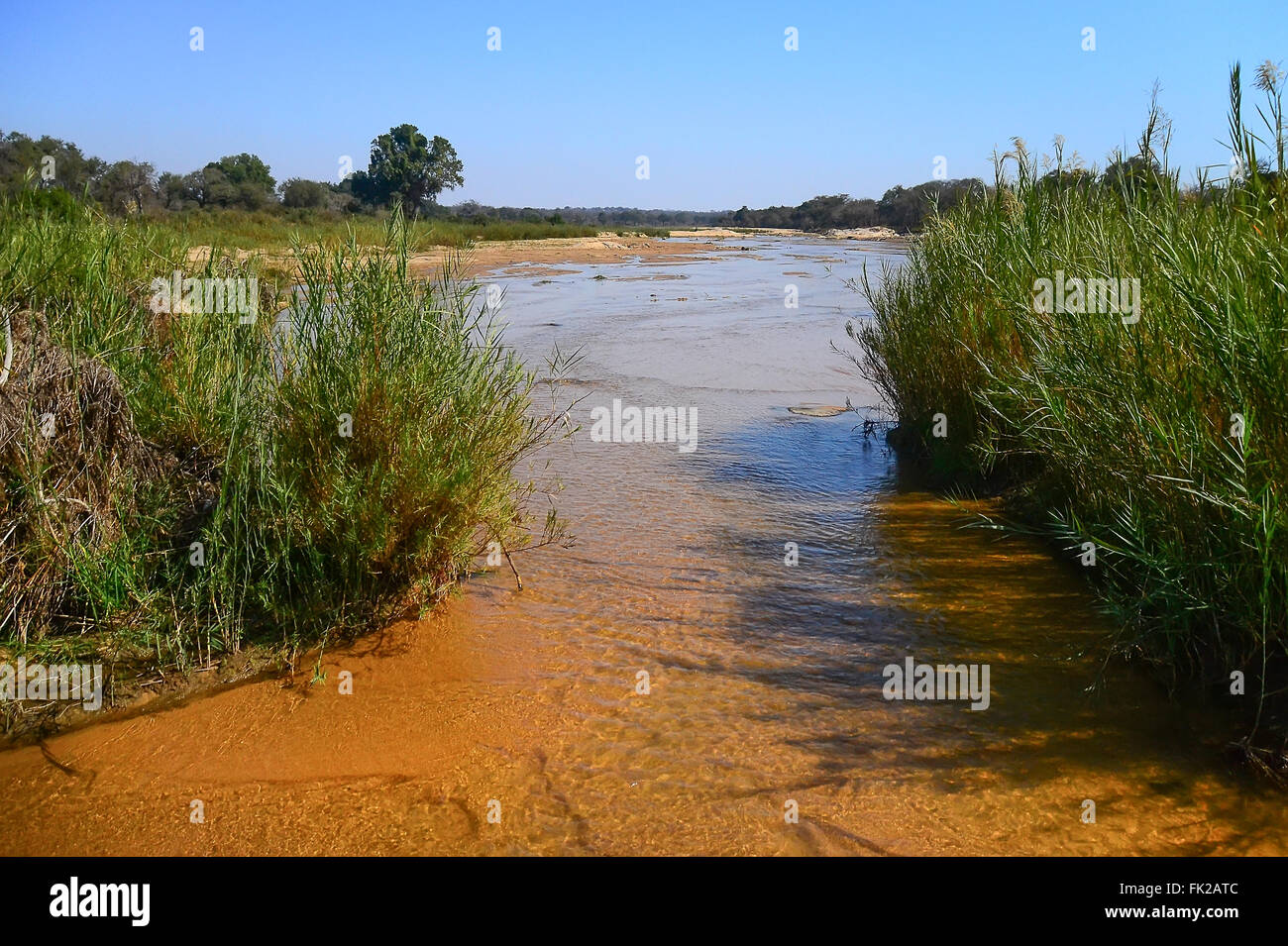 South kruger park landscape acacia hi-res stock photography and images ...