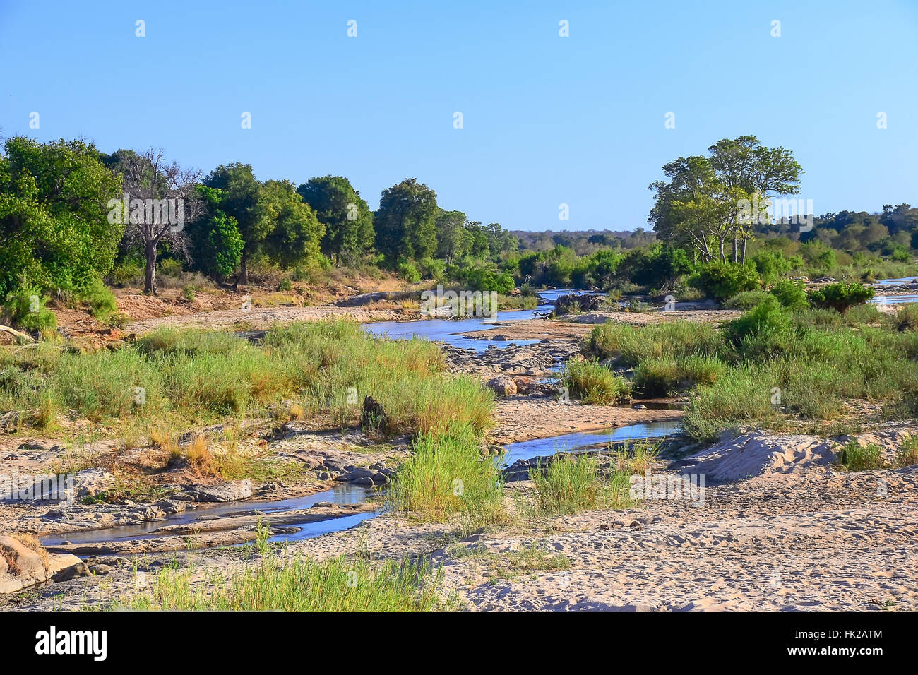 African Landscape in Kruger National Park, South Africa Stock Photo - Alamy