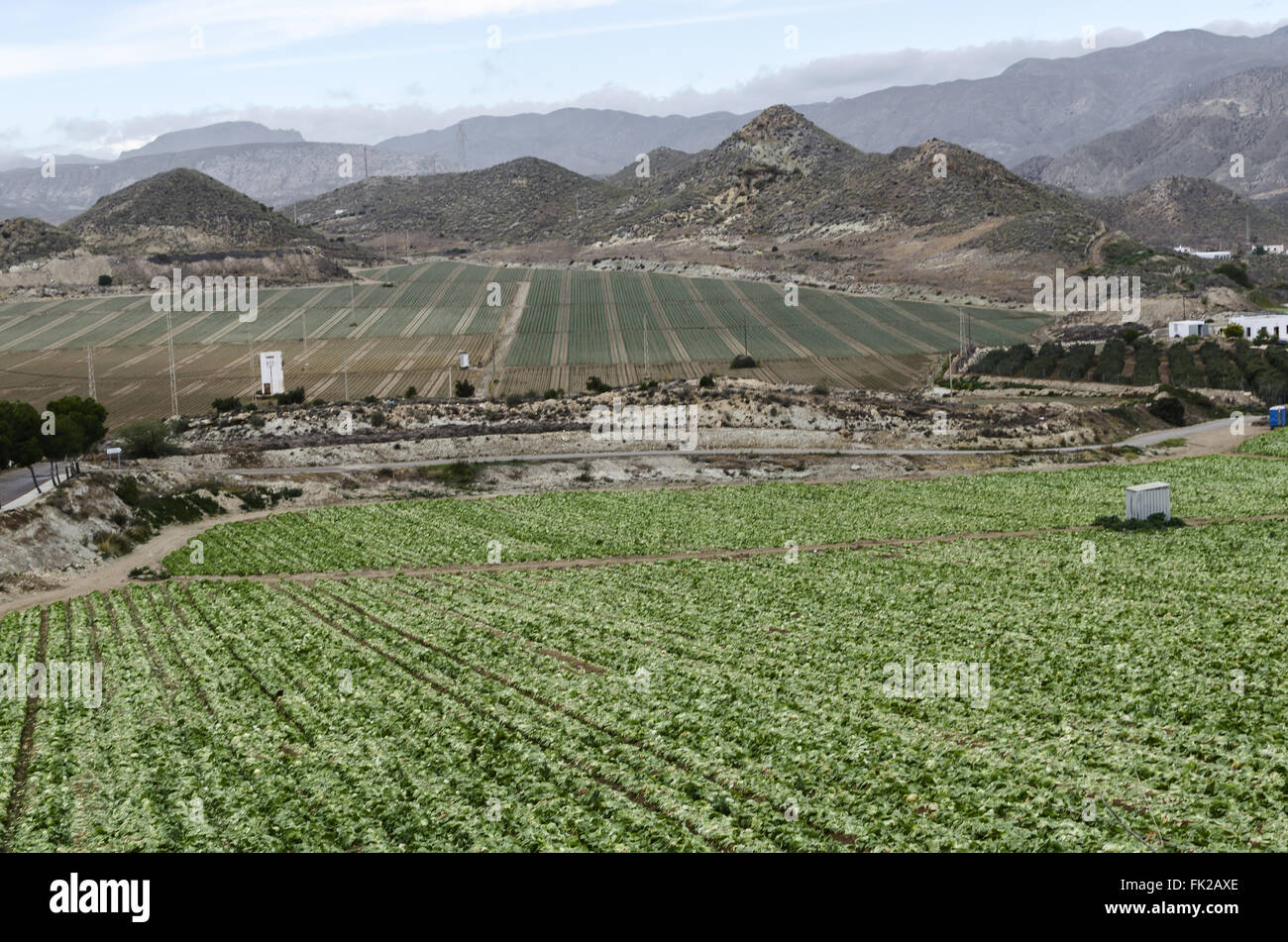 Grren hi-res stock photography and images - Alamy