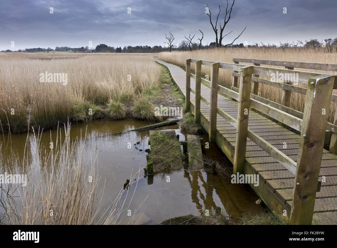 Path across marsh Suffolk coastal path boardwalk Stock Photo - Alamy