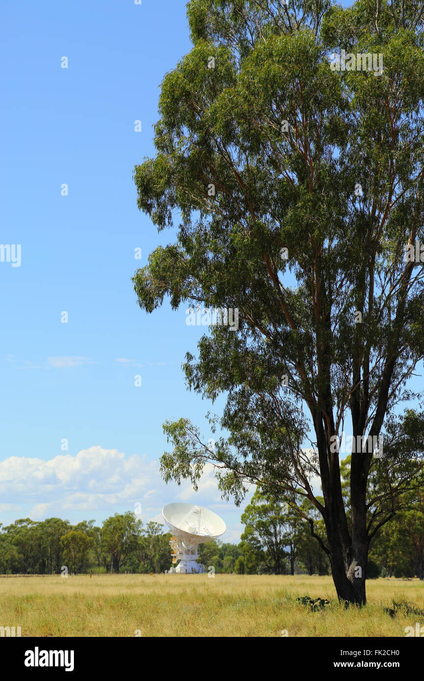 Narrabri hi-res stock photography and images - Alamy