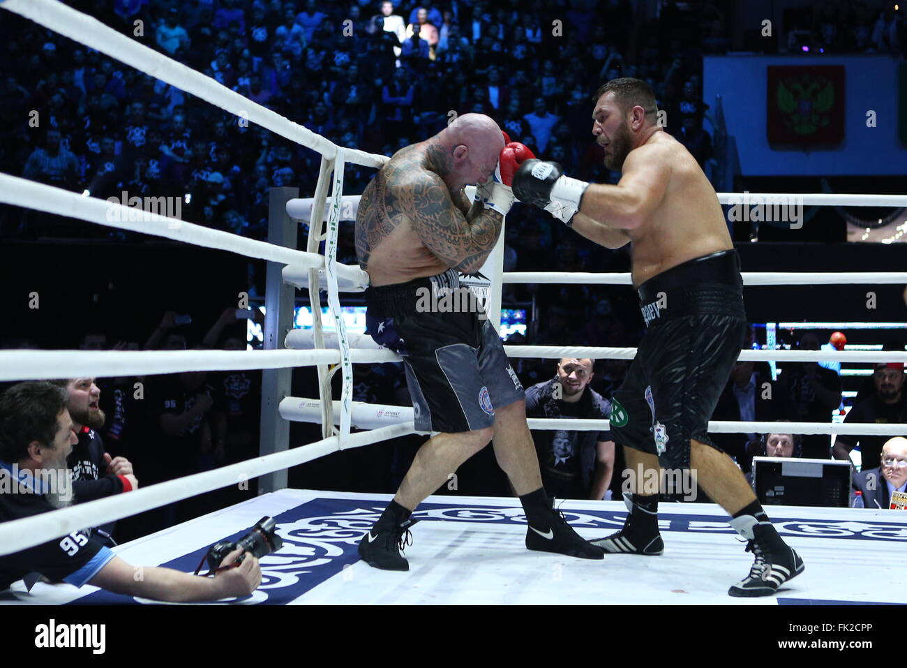 Australian Boxer High Resolution Stock Photography and Images - Alamy