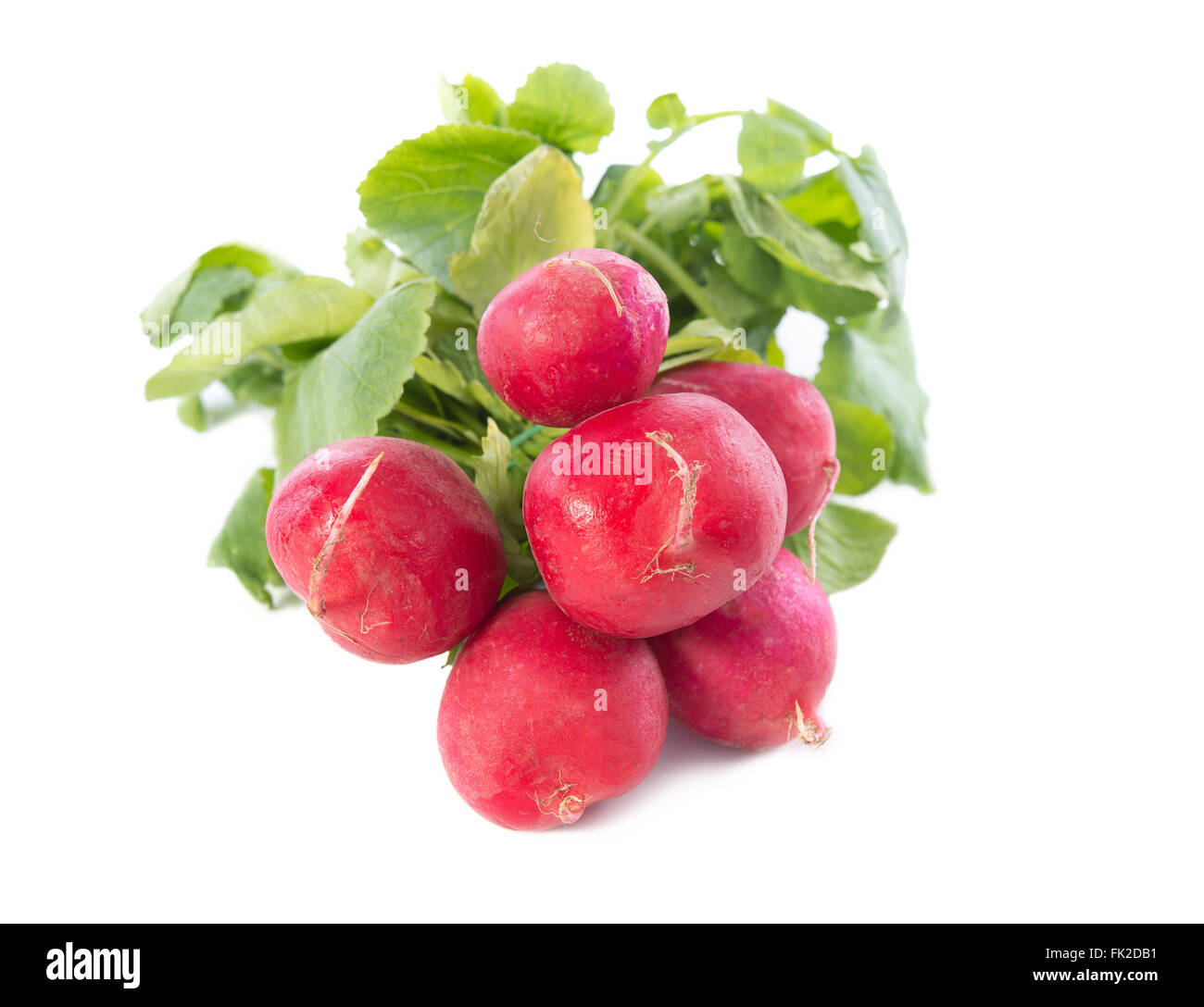 fresh raw spicy radish on white background Stock Photo - Alamy