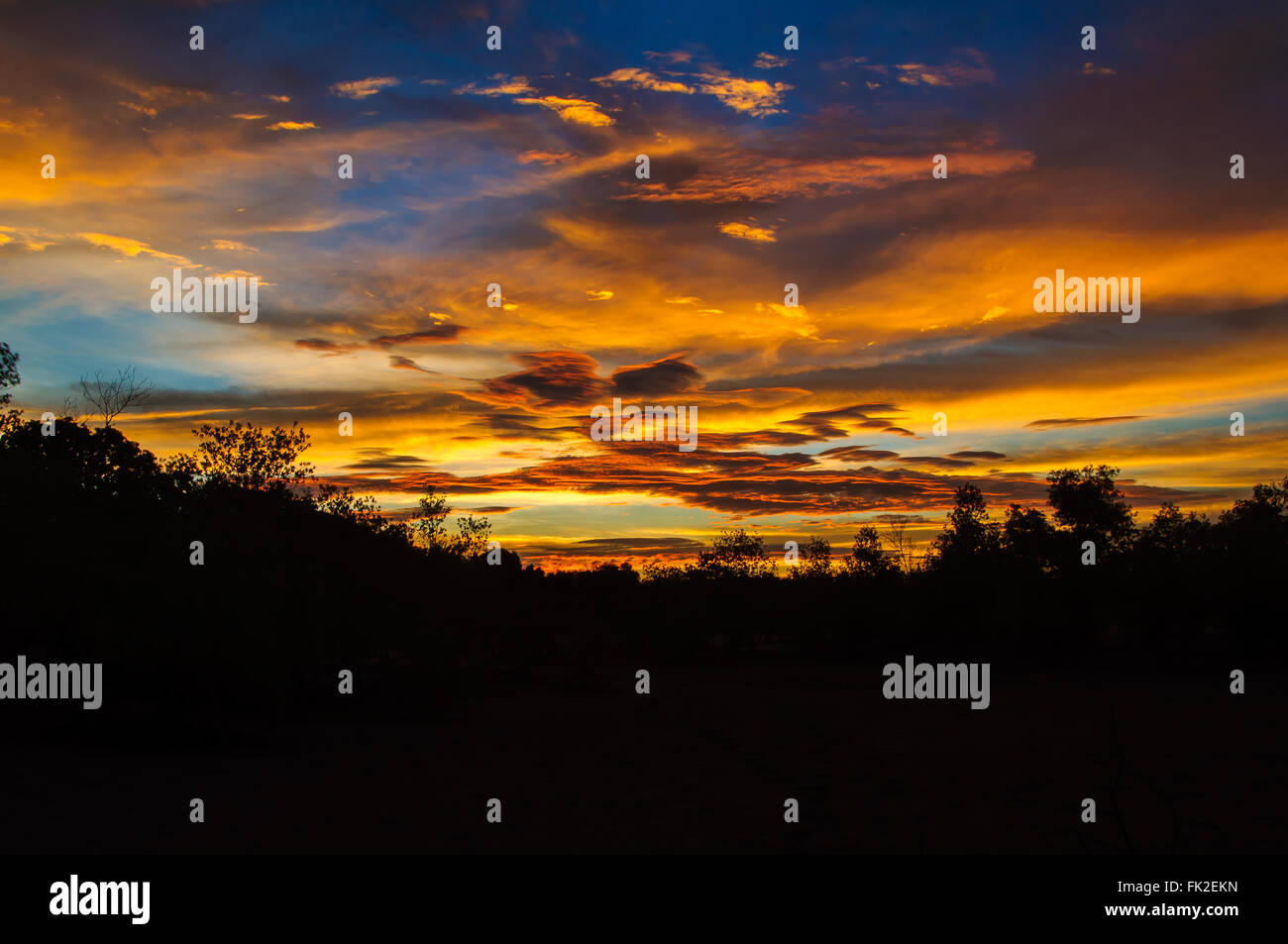 Mangrove forest at sunset hi-res stock photography and images - Alamy