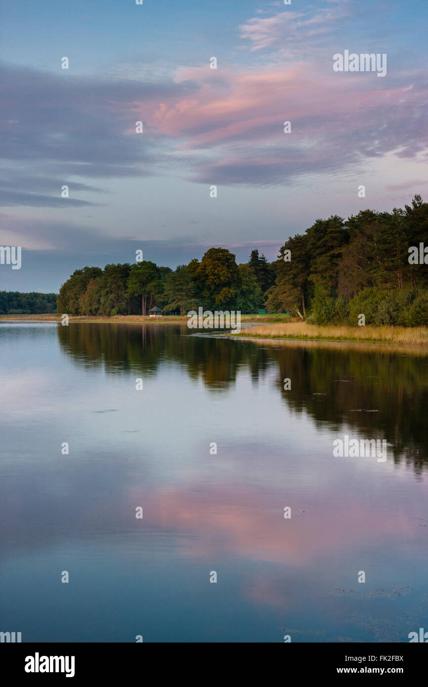 The landscape of the Broceliande forest, near the french city of Rennes ...