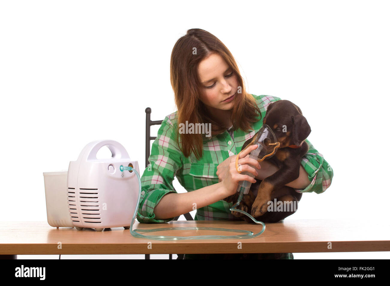 Young woman using nebulizer mask for respiratory inhaler dog Treatment ...