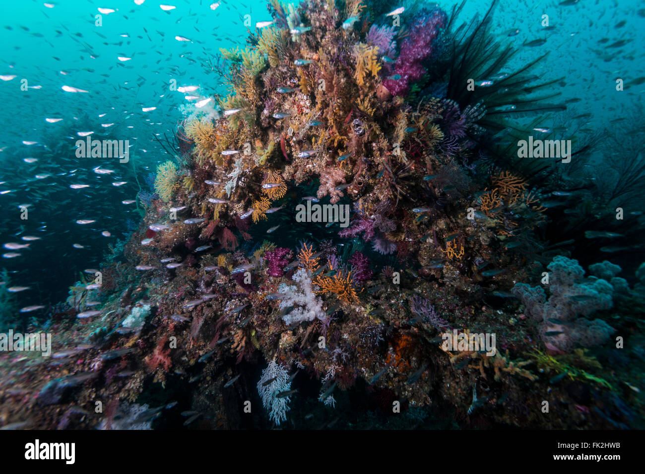 Fish reef. A artificial fish reef made of concrete bricks has been ...