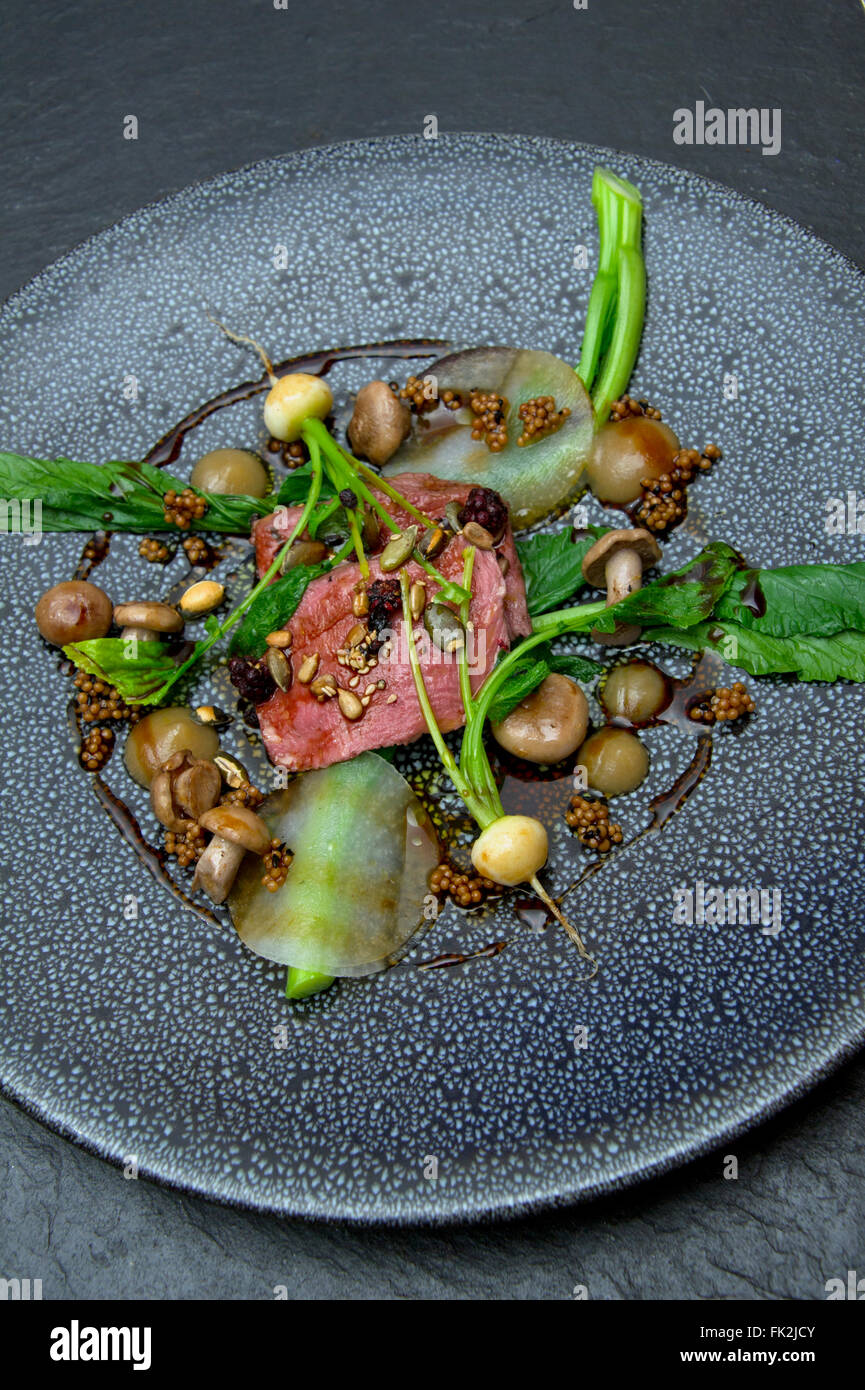 Pave of Cotswold venison cooked with mugwort, with baby turnips and ...