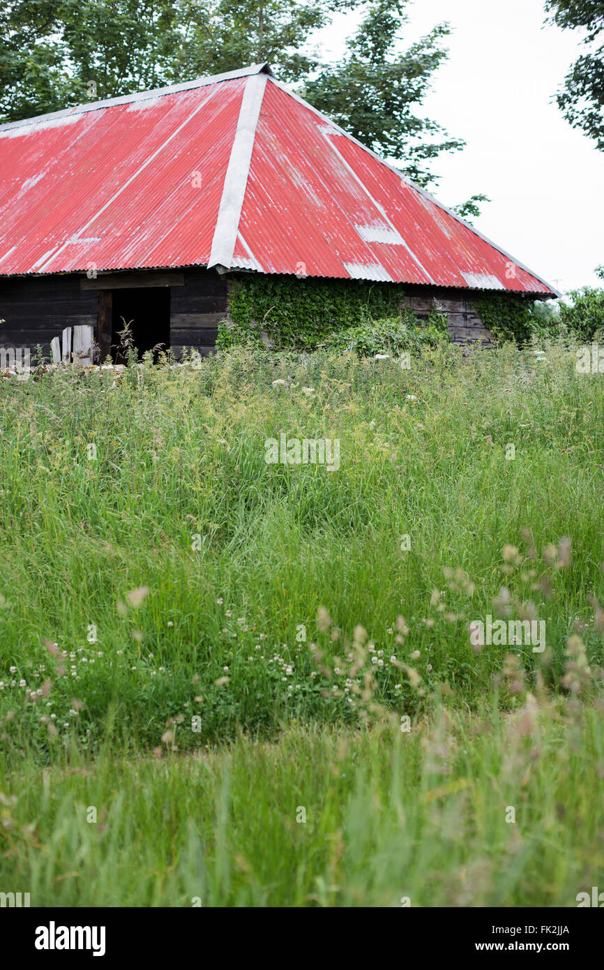 Old red tin roofed barn in a farmers field Stock Photo - Alamy