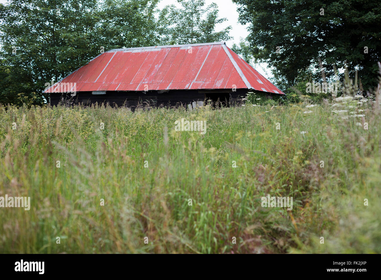 Barn with red tin roof hi-res stock photography and images - Alamy