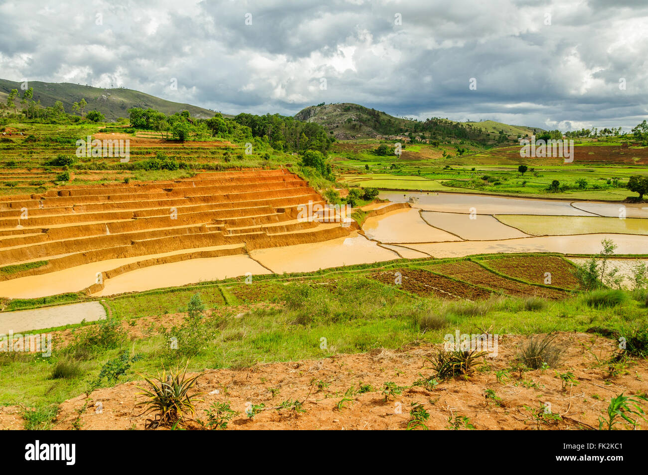 Red Soil Madagascar Stock Photos & Red Soil Madagascar Stock Images - Alamy