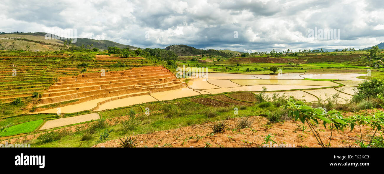Red soil madagascar hi-res stock photography and images - Alamy