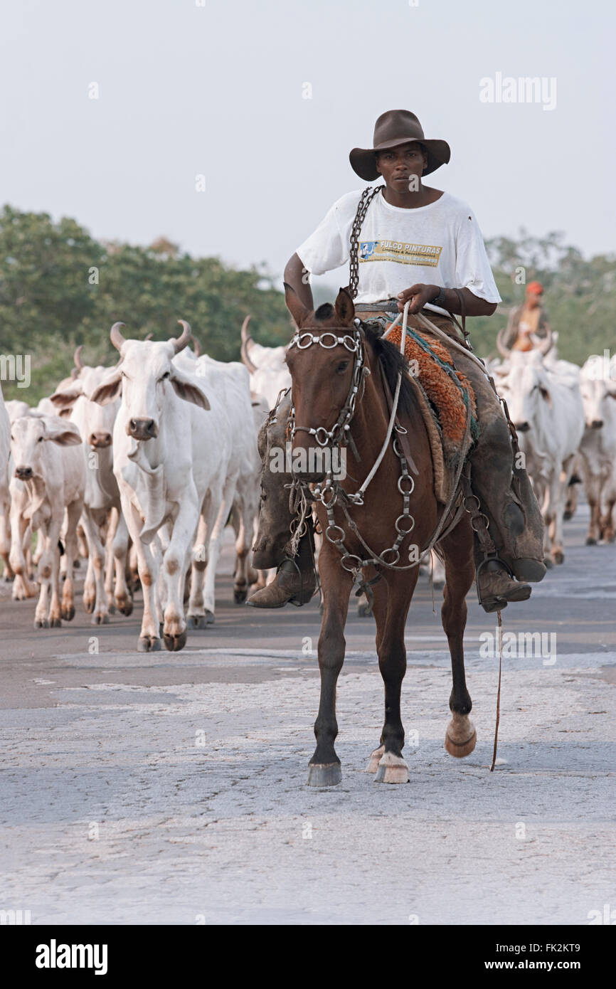 Brazilian cowboy hi-res stock photography and images - Alamy