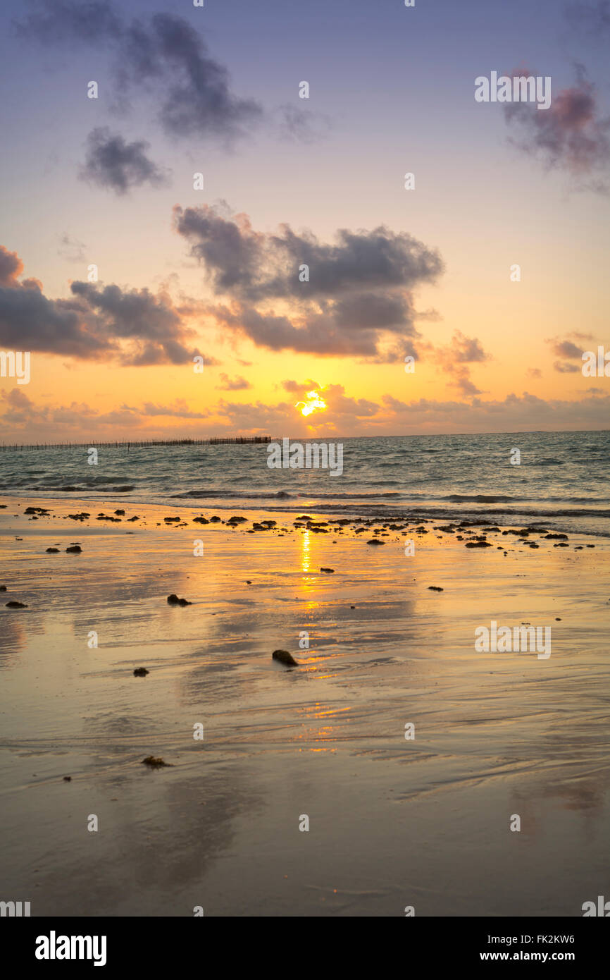 The sun rising over an empty beach and open ocean Stock Photo - Alamy