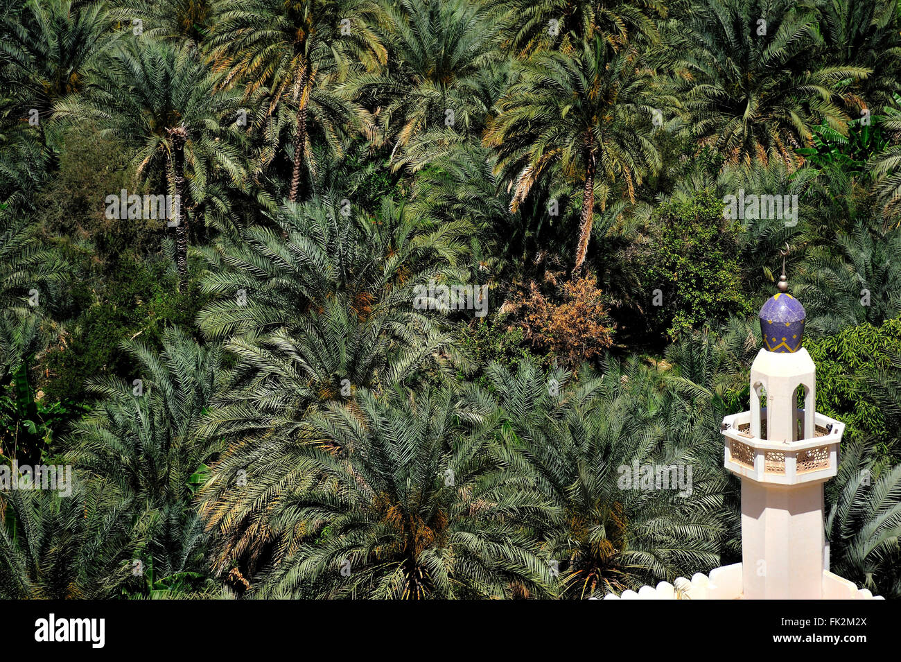 Wadi Tiwi, palm trees and minaret in the Sultanate of Oman Stock Photo ...